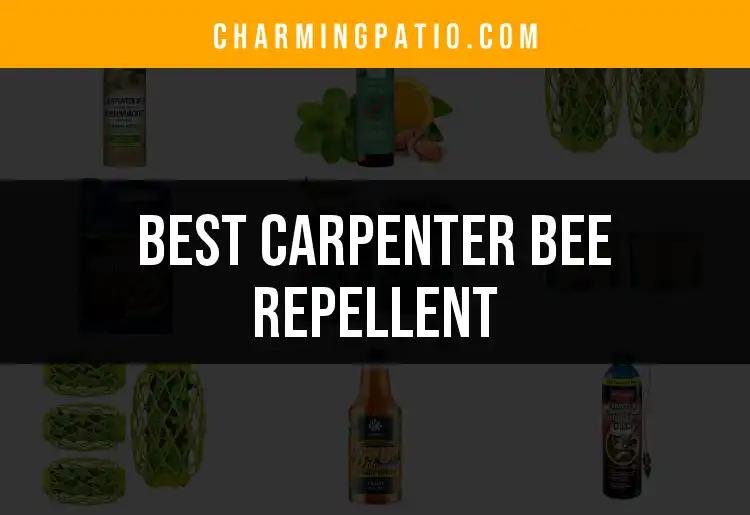 18 Best Carpenter Bee Repellent Options for Your Garden
