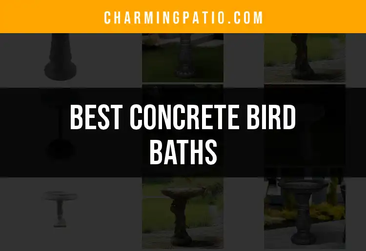 10 Best Concrete Bird Baths for Your Backyard Oasis