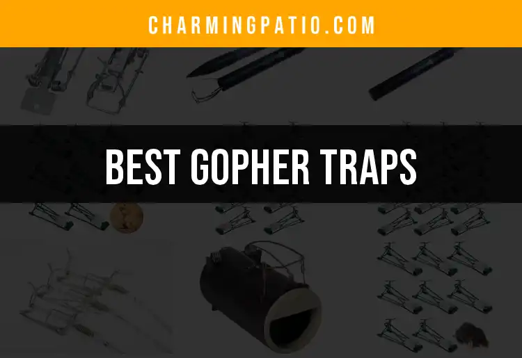 13 Best Gopher Traps for a Pest-Free Garden