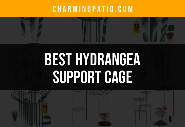 10 Best Hydrangea Support Cages For Your Blooming Garden