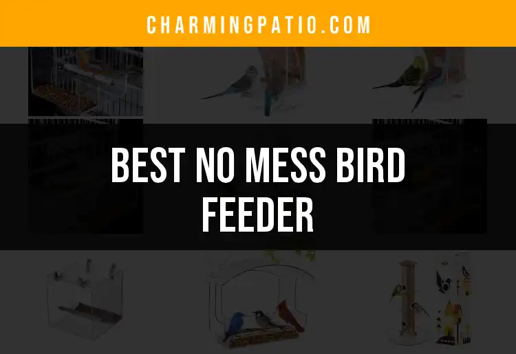 13 Best No Mess Bird Feeders for a Clean Outdoor Experience