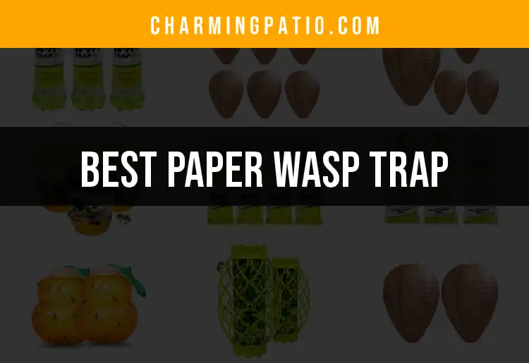 13 Best Paper Wasp Traps for a Buzz-Free Yard