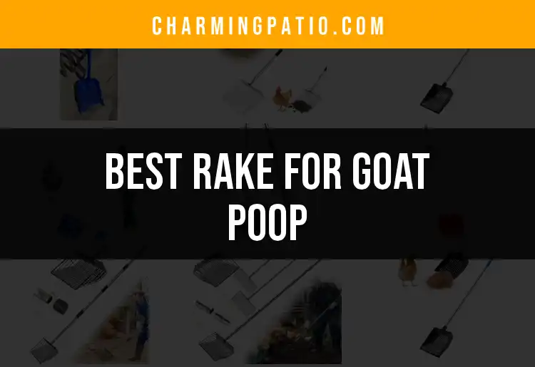 13 Best Rakes For Effortless Goat Poop Cleanup