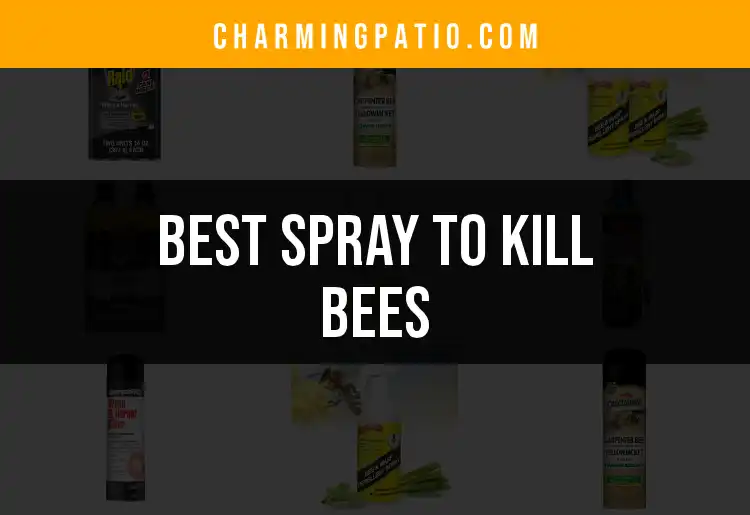 18 Best Sprays to Kill Bees Fast and Effectively